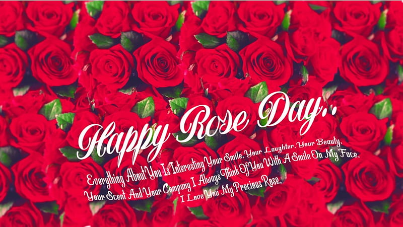 Happy Rose Day 2019 Wallpaper - Infoupdate.org Happy Rose Day 2019 Wallpaper - Infoupdate.org