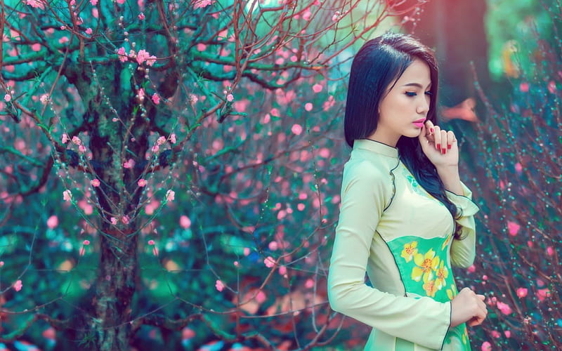 Asian Girl Flower Asian Trees Pink Hd Wallpaper Peakpx