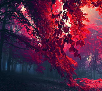 HD dsfbn wallpapers | Peakpx HD dsfbn wallpapers | Peakpx
