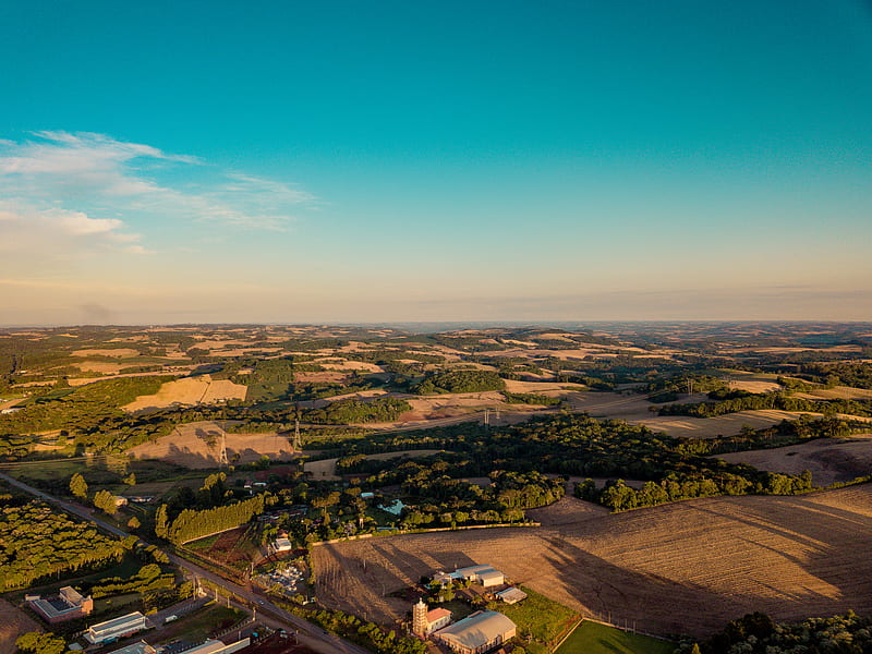 Aerial View Of Green Trees And Green Grass Field During Daytime Hd